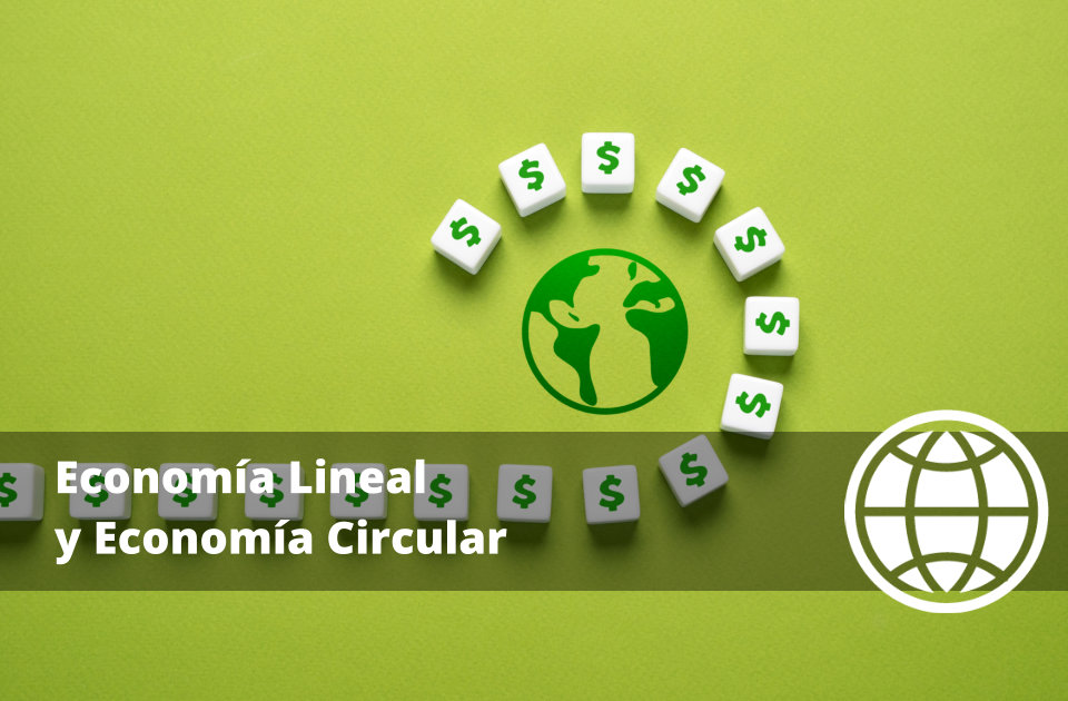 Economía Lineal y Economía Circular. Diferencias y Ejemplos