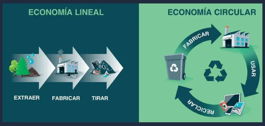 Economía Lineal y Economía Circular. Diferencias y Ejemplos