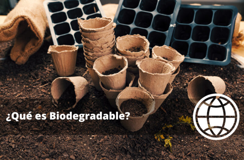 ¿Qué es Biodegradable?: Ejemplos y Significado