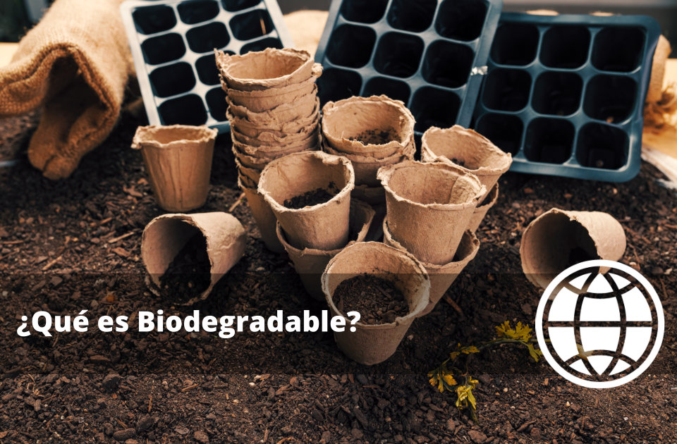 ¿Qué es Biodegradable?: Ejemplos y Significado