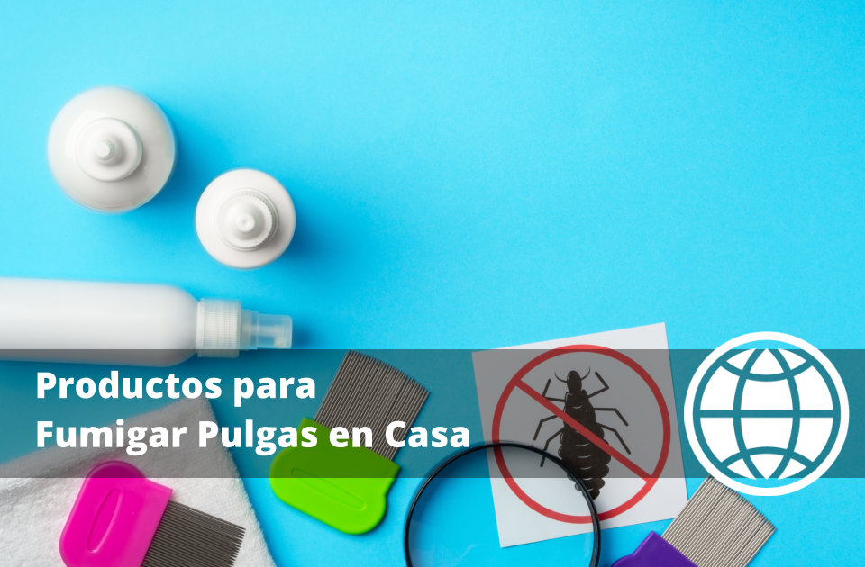 Productos para Fumigar Pulgas en Casa
